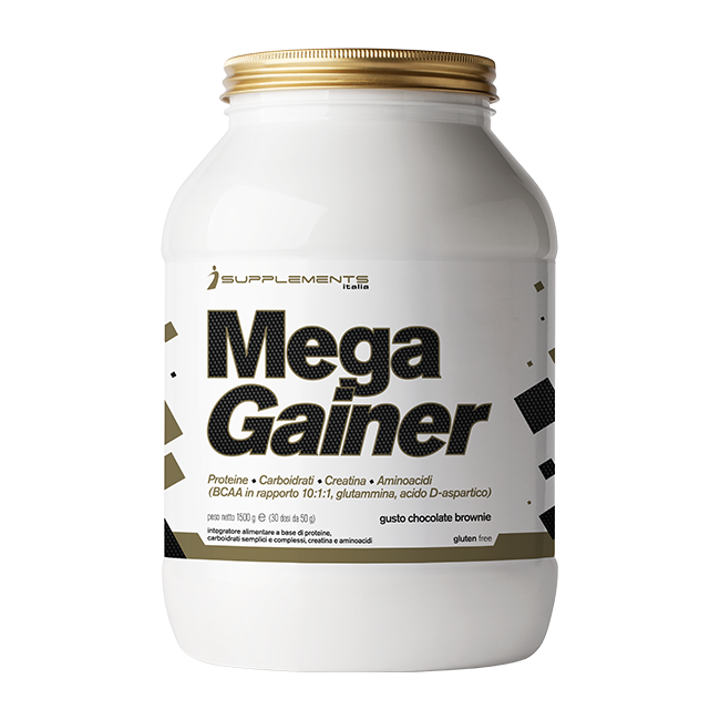 Mega Gainer 1500g ISupplements | MPO